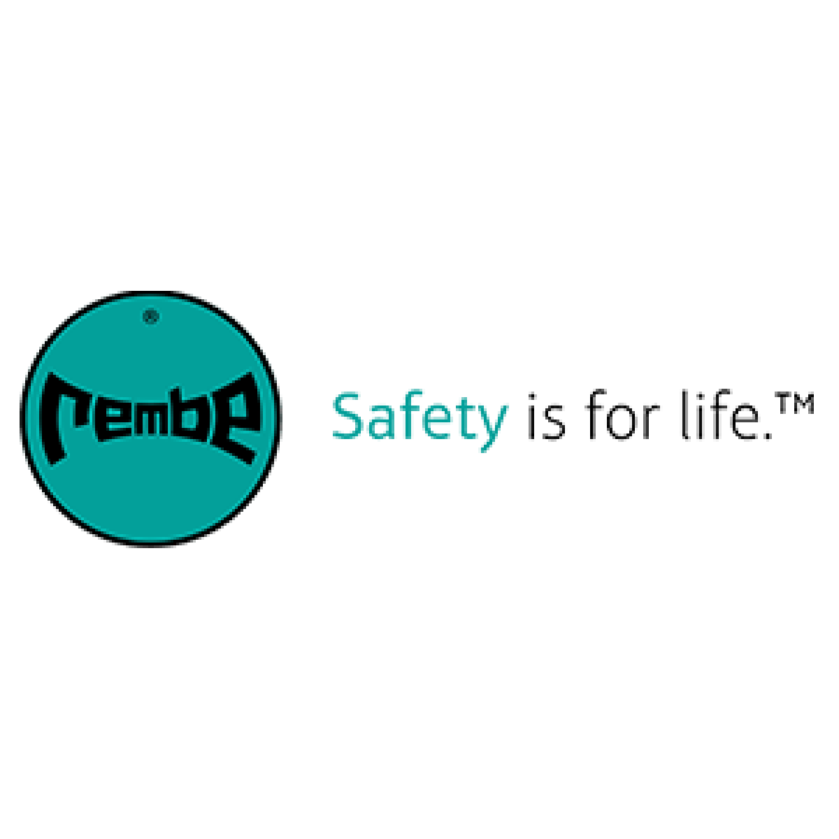 Rupture Disc and Safety Valve · Apex Industrial Solutions