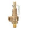 SVB Safety Valves · Apex Industrial Solutions